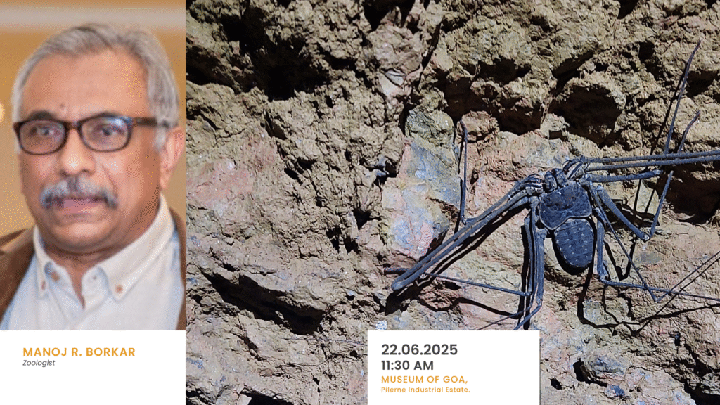 Whip Spiders, Whip Scorpions & Tarantulas: The 'Not-so-Charismatic ...